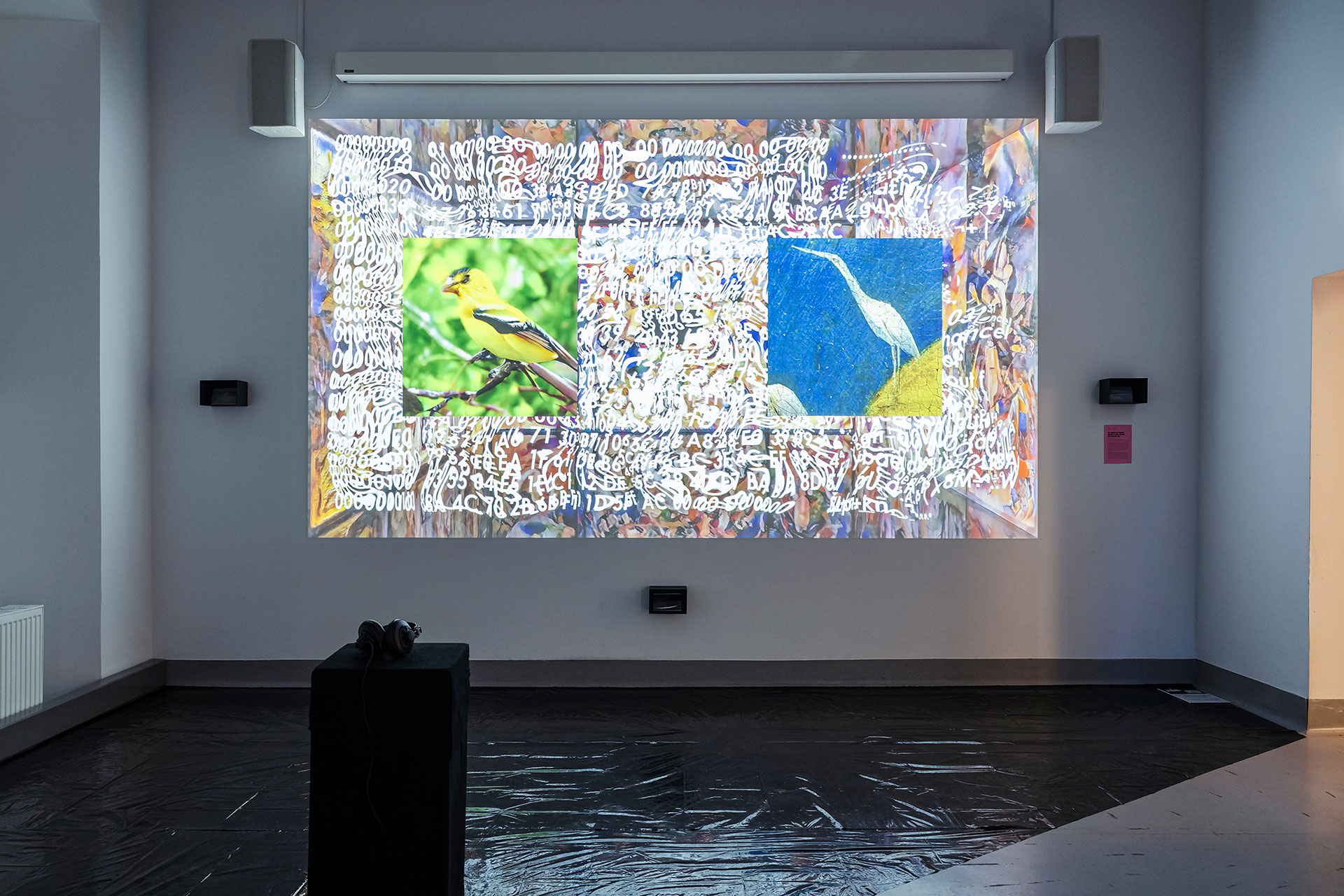 The Garden of Earthly Delights – Bird, Human and Geology 1&2 – Lynkeus ...